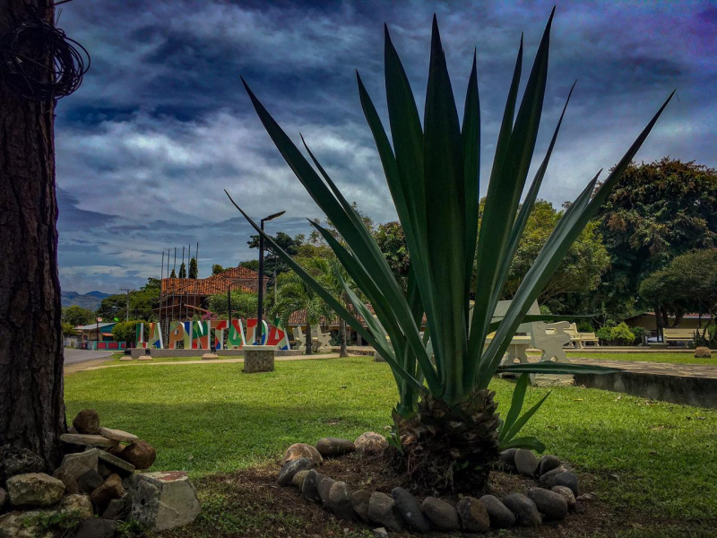 EMBELLECIMIENTO DE PARQUE MUNICIPAL – Municipio de La Pintada